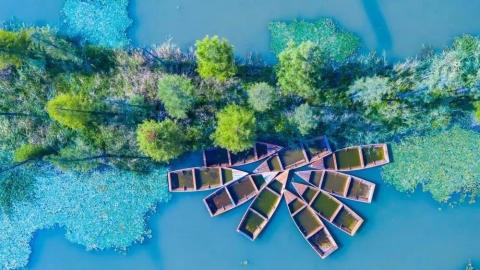 New country park with 70-plus islands opens in Shanghai - City News Service