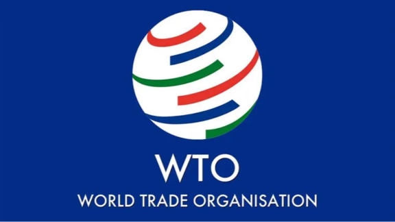 City News Services 城市资讯服务商