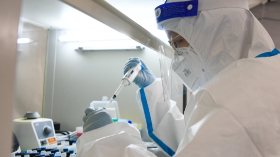 What to do if a pooled PCR test yields a positive result - City News ...