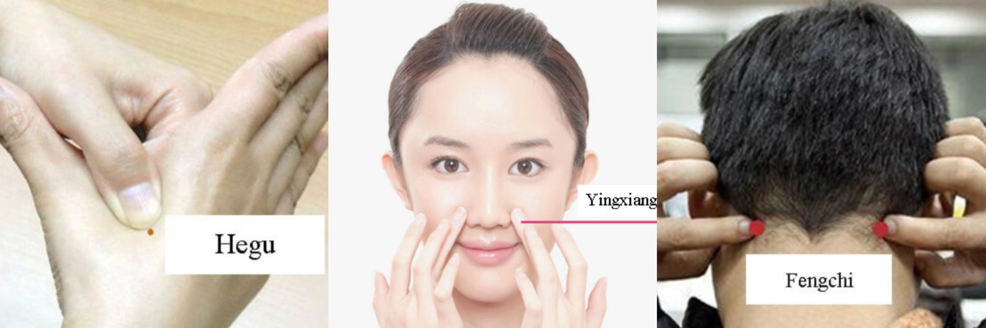 TCM advice for COVID-19 prevention and control - SHINE News