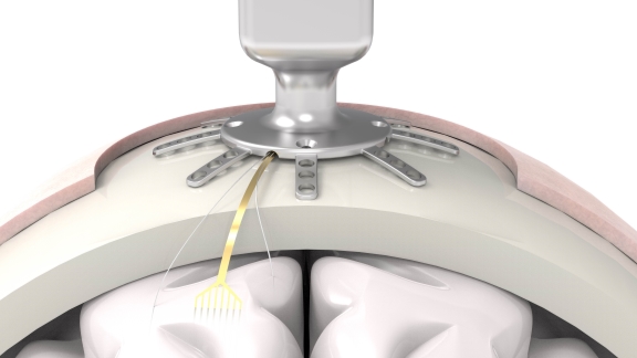 City News Services 城市资讯服务商