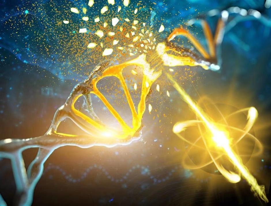 Innovative therapy targeting cancer developed locally - City News Service