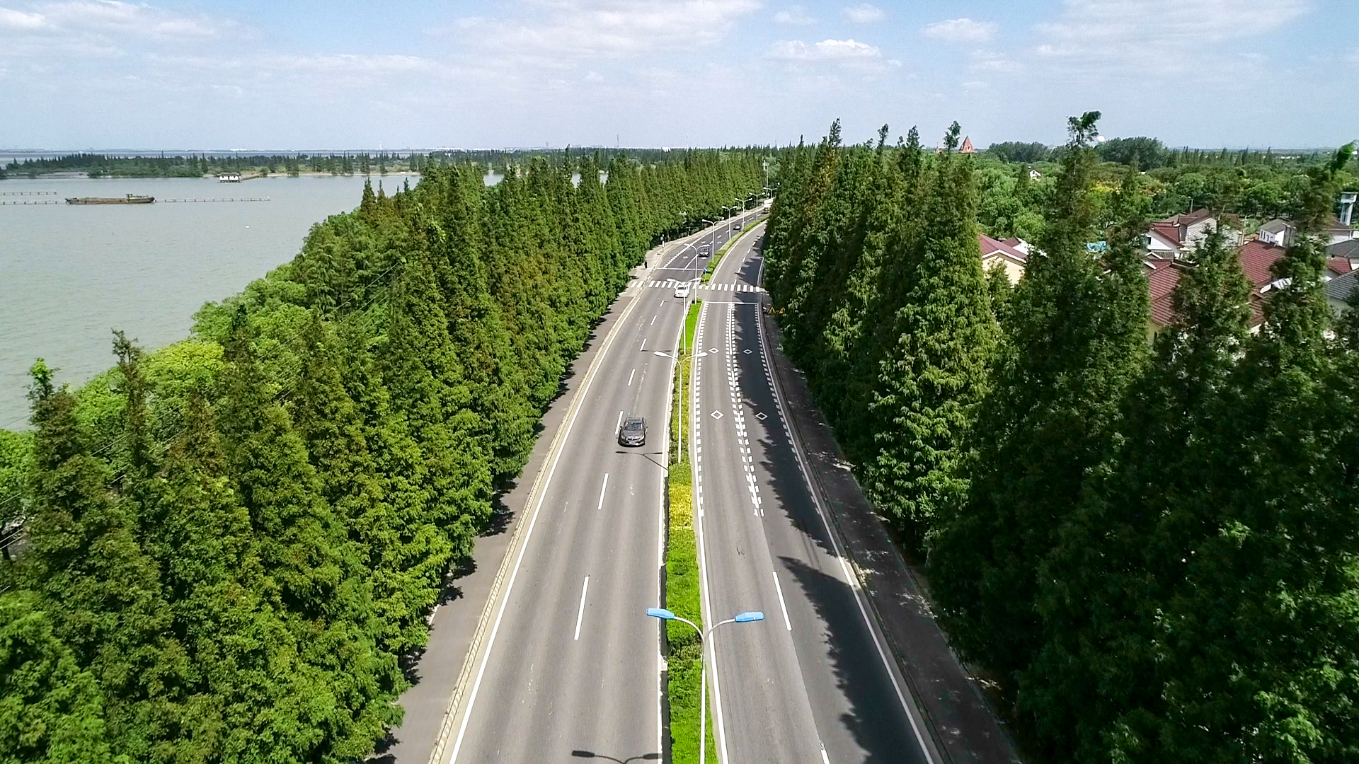 Get in the fast lane to appreciate beauty of Qingpu - The Official ...