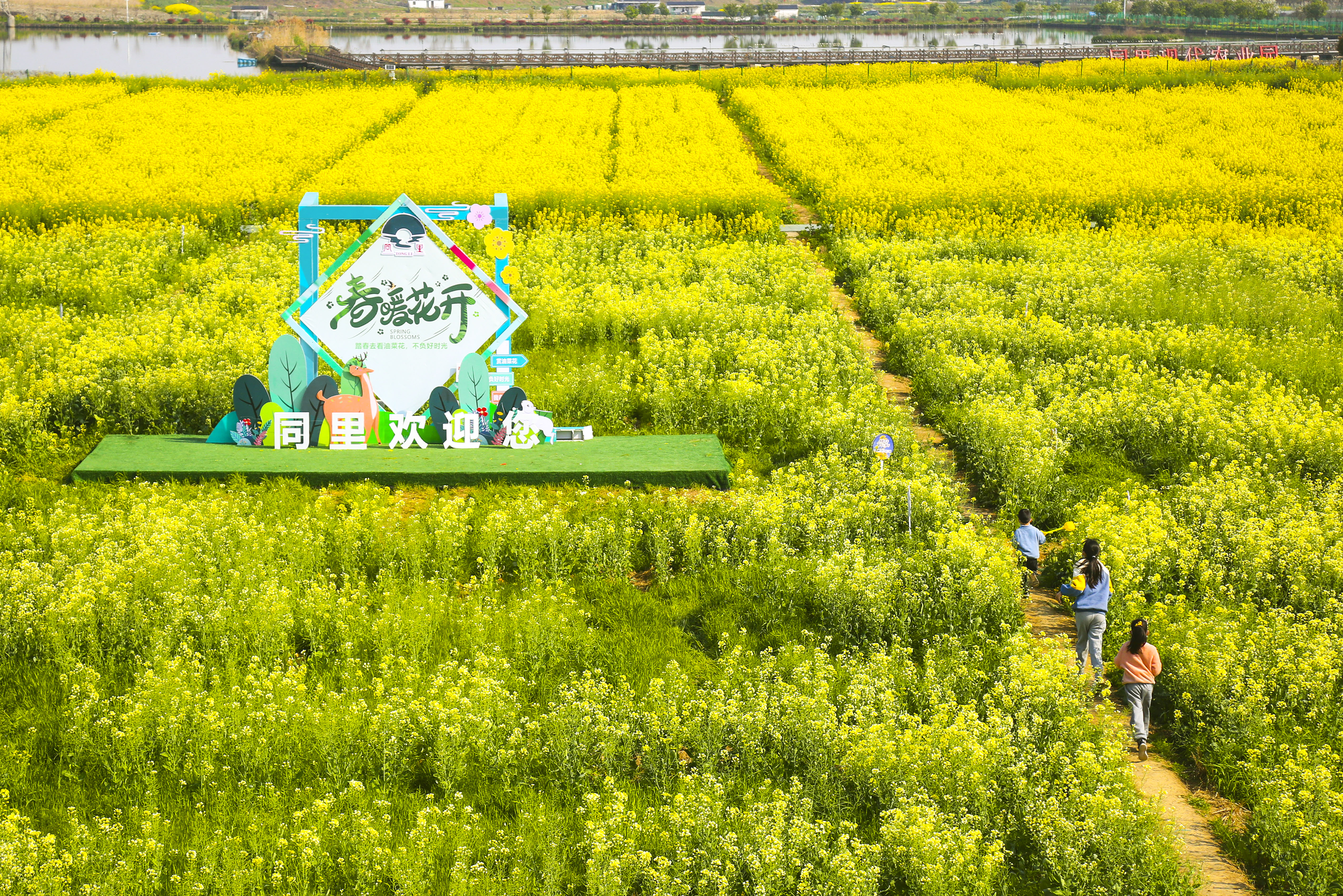 Culture and scenery of Wujiang District on display - City News Service