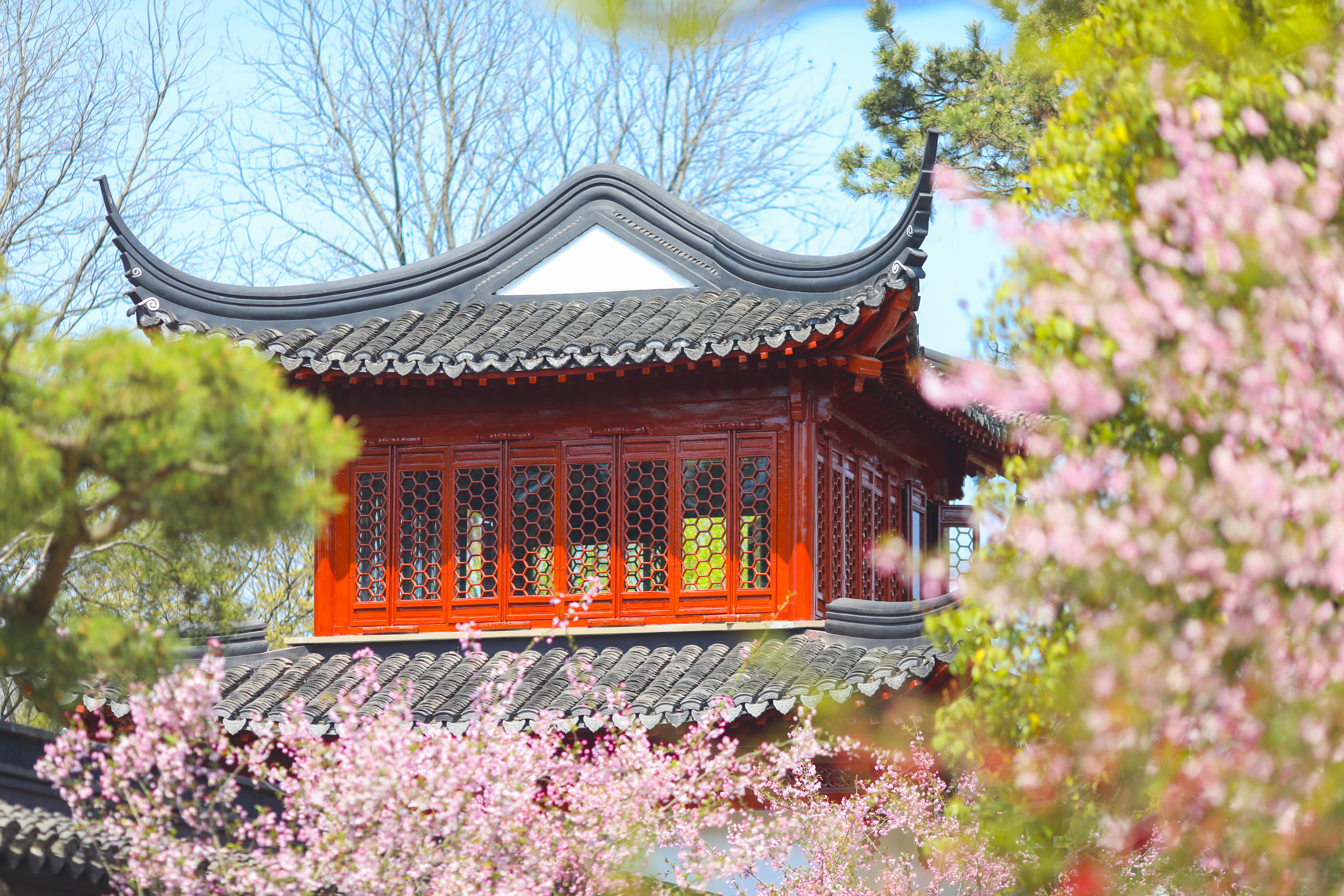 Qingpu District promotes development and culture to the world - City ...
