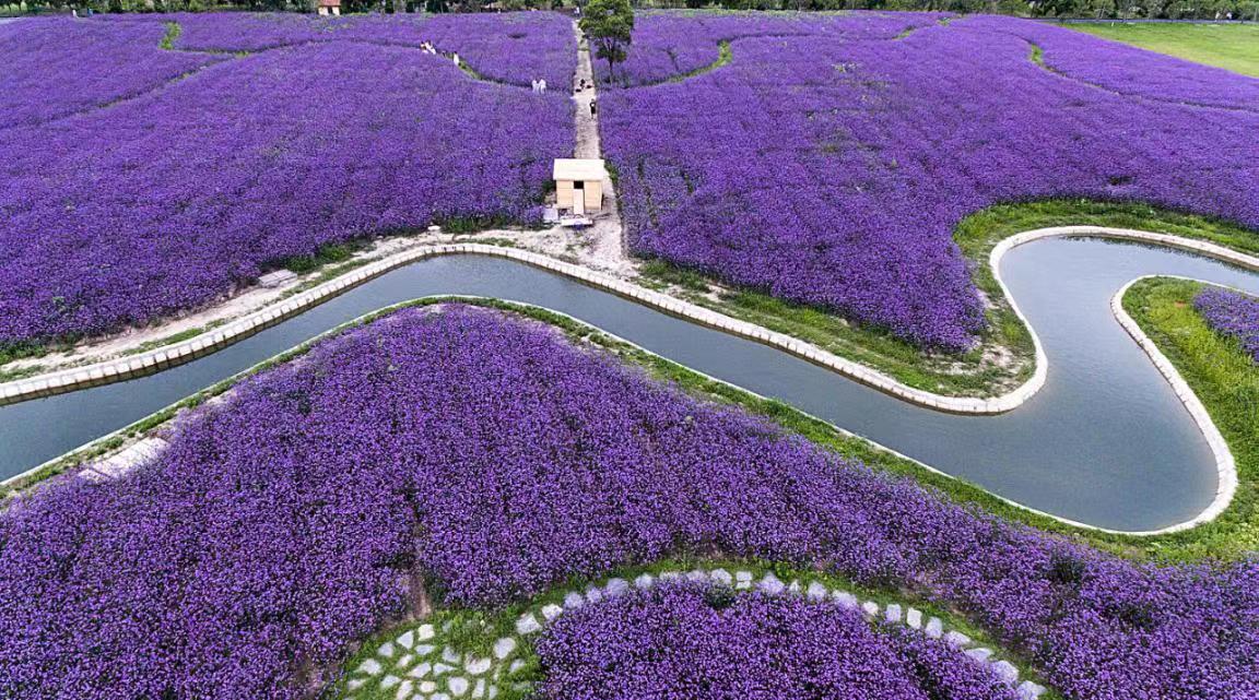 Two cycling routes unveiled in Qingpu District - City News Service