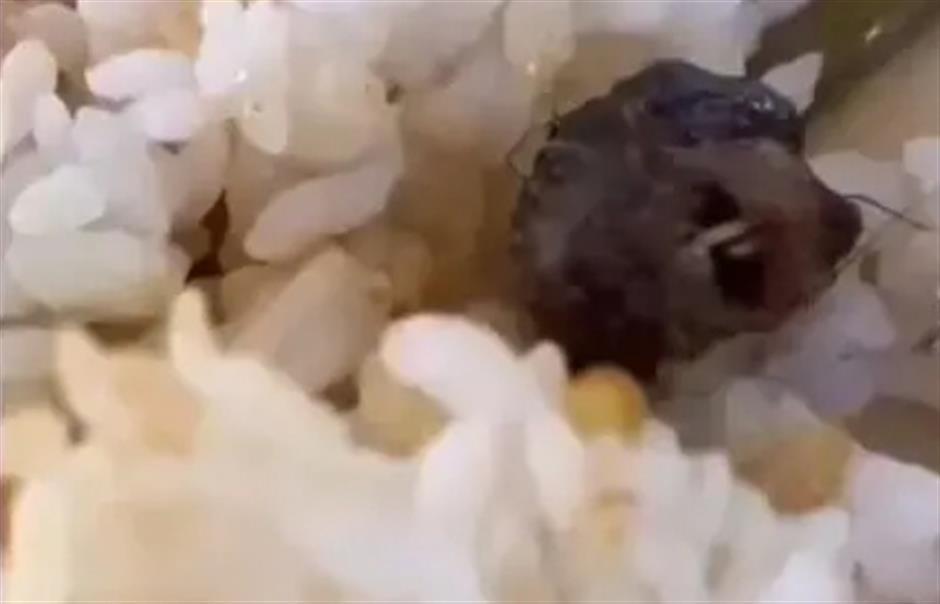 City News Services 城市资讯服务商