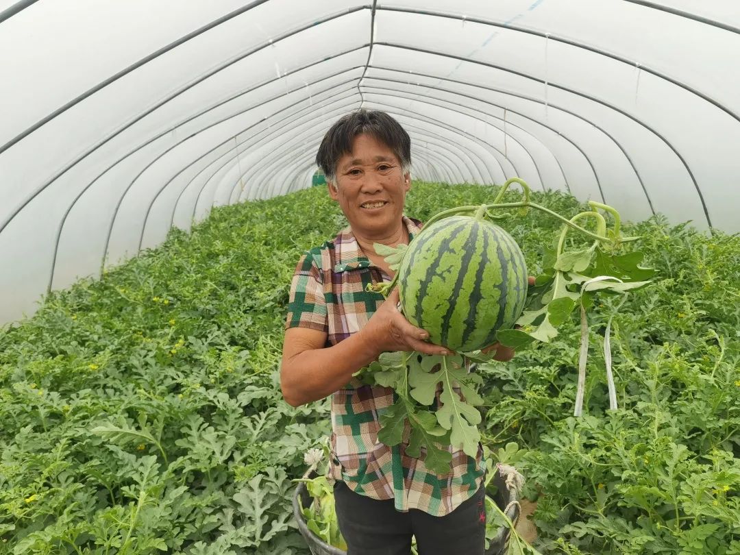 City News Services 城市资讯服务商