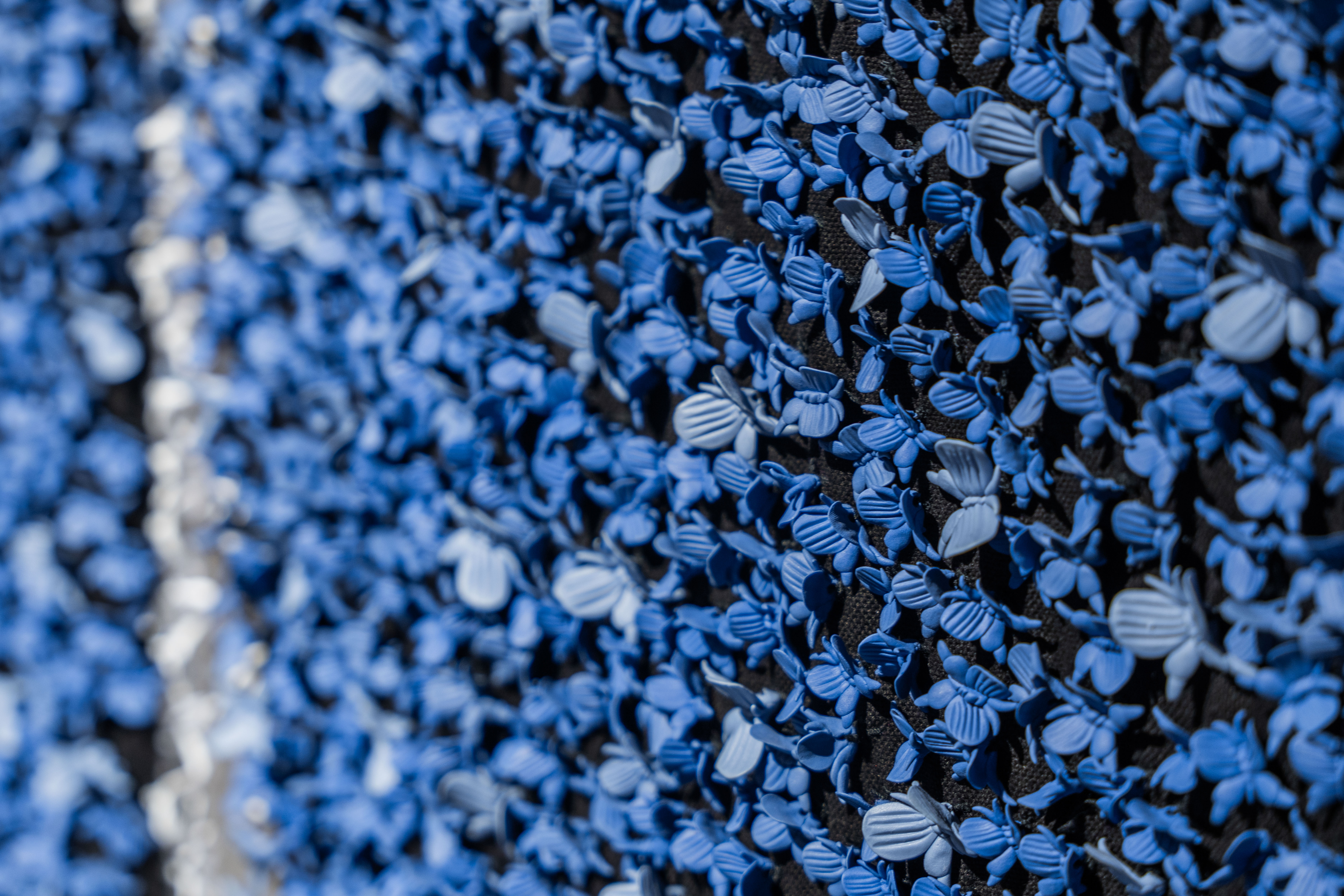 Exhibition explores nature and environmental issues - City News Service