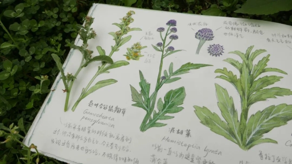 Raising biodiversity awareness with 'nature note' - City News Service