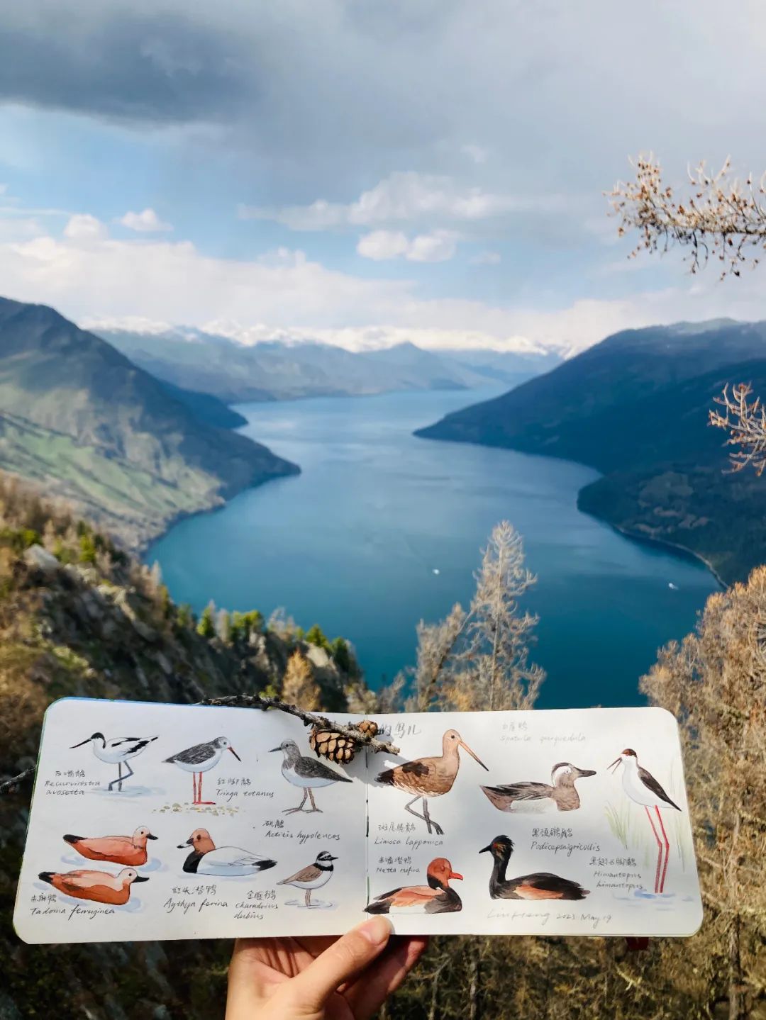 Raising biodiversity awareness with ‘nature note’ – Green Reporter