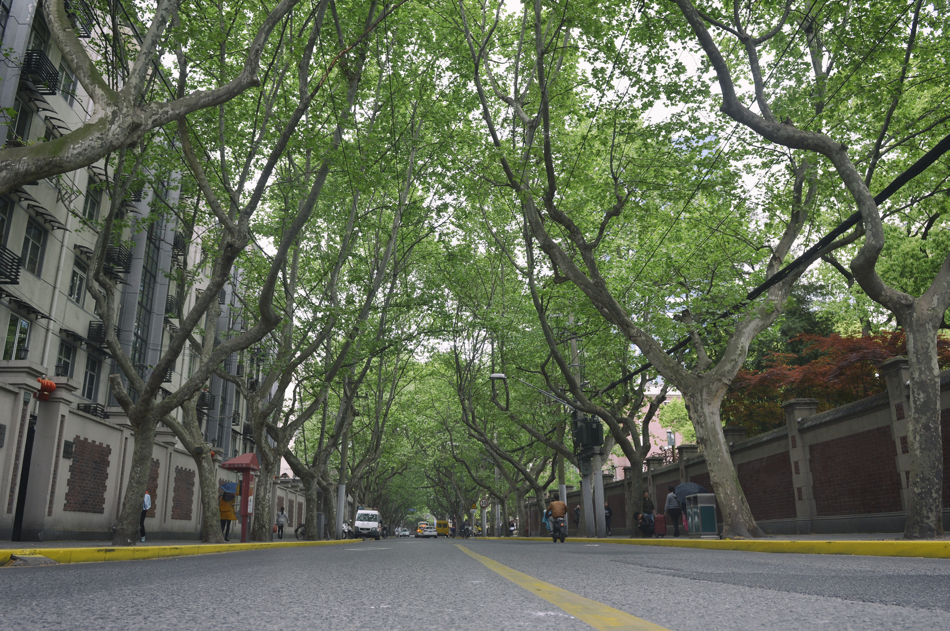 A stroll down Yuyuan Road is more than a stroll. It's a trip through ...