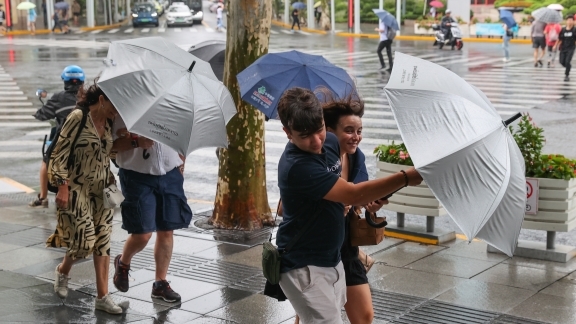 City News Services 城市资讯服务商