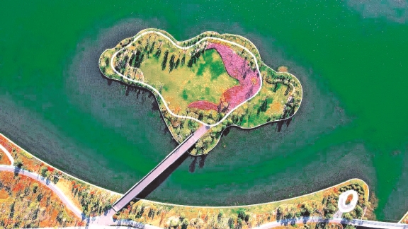 City News Services 城市资讯服务商