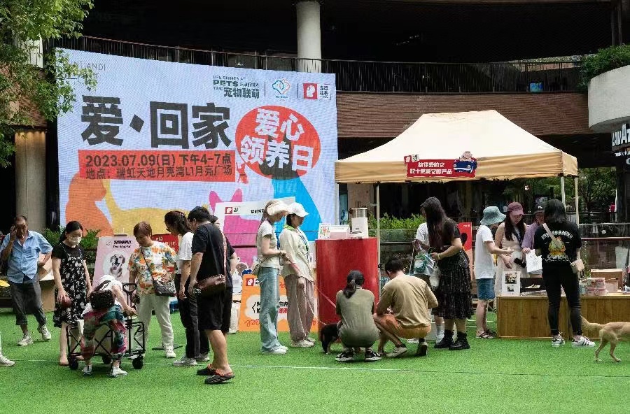 A list of animal adoption communities in Shanghai - City News Service