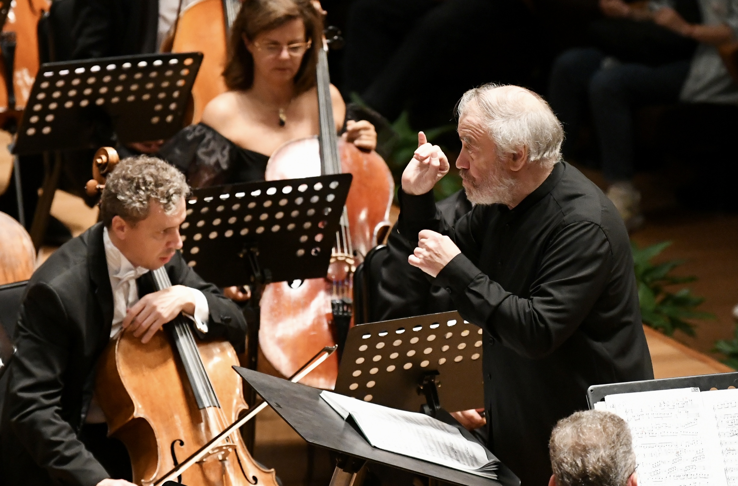 City News Services 城市资讯服务商