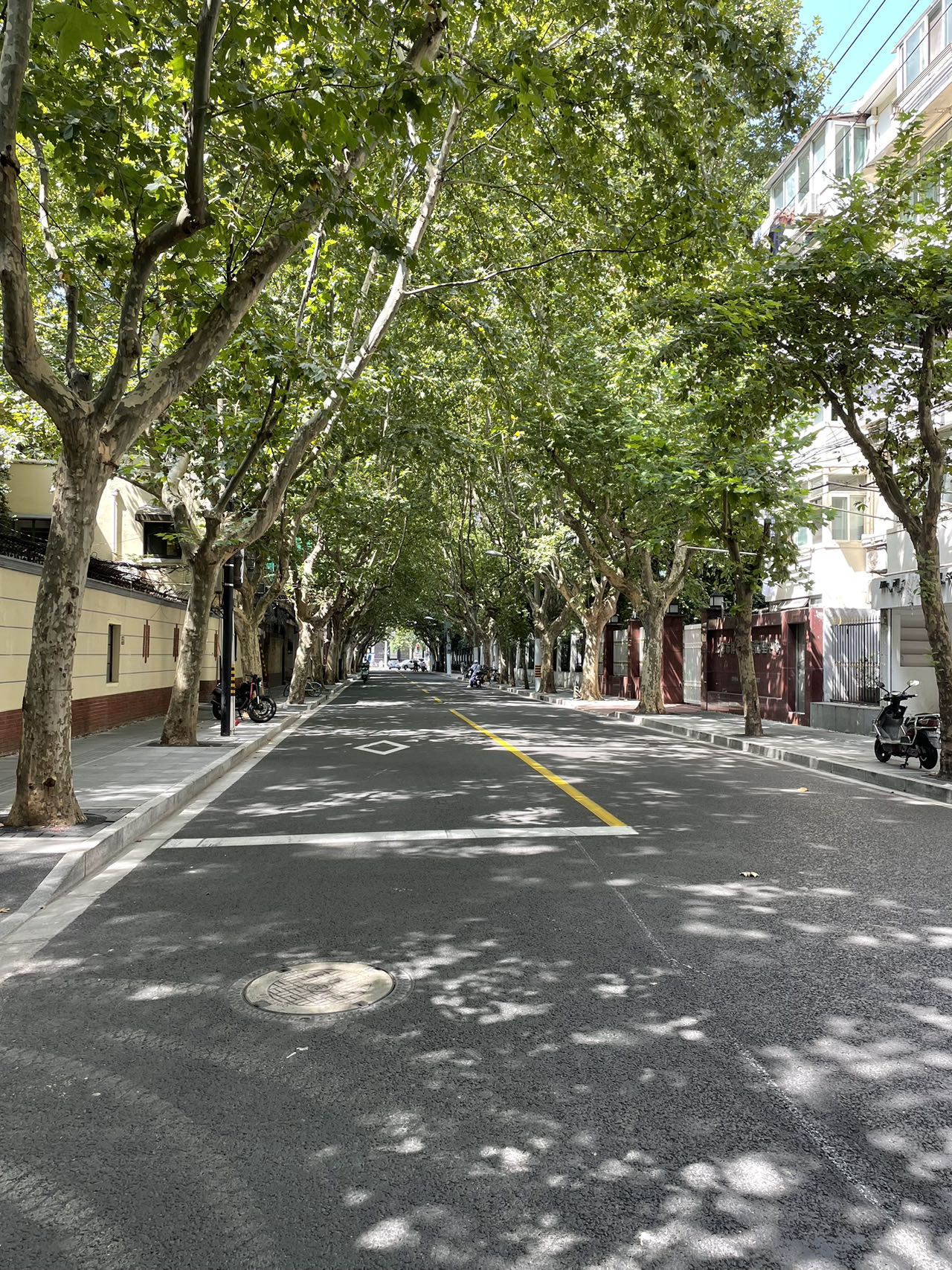 A part of Shanghai that feels like a 'village' - City News Service