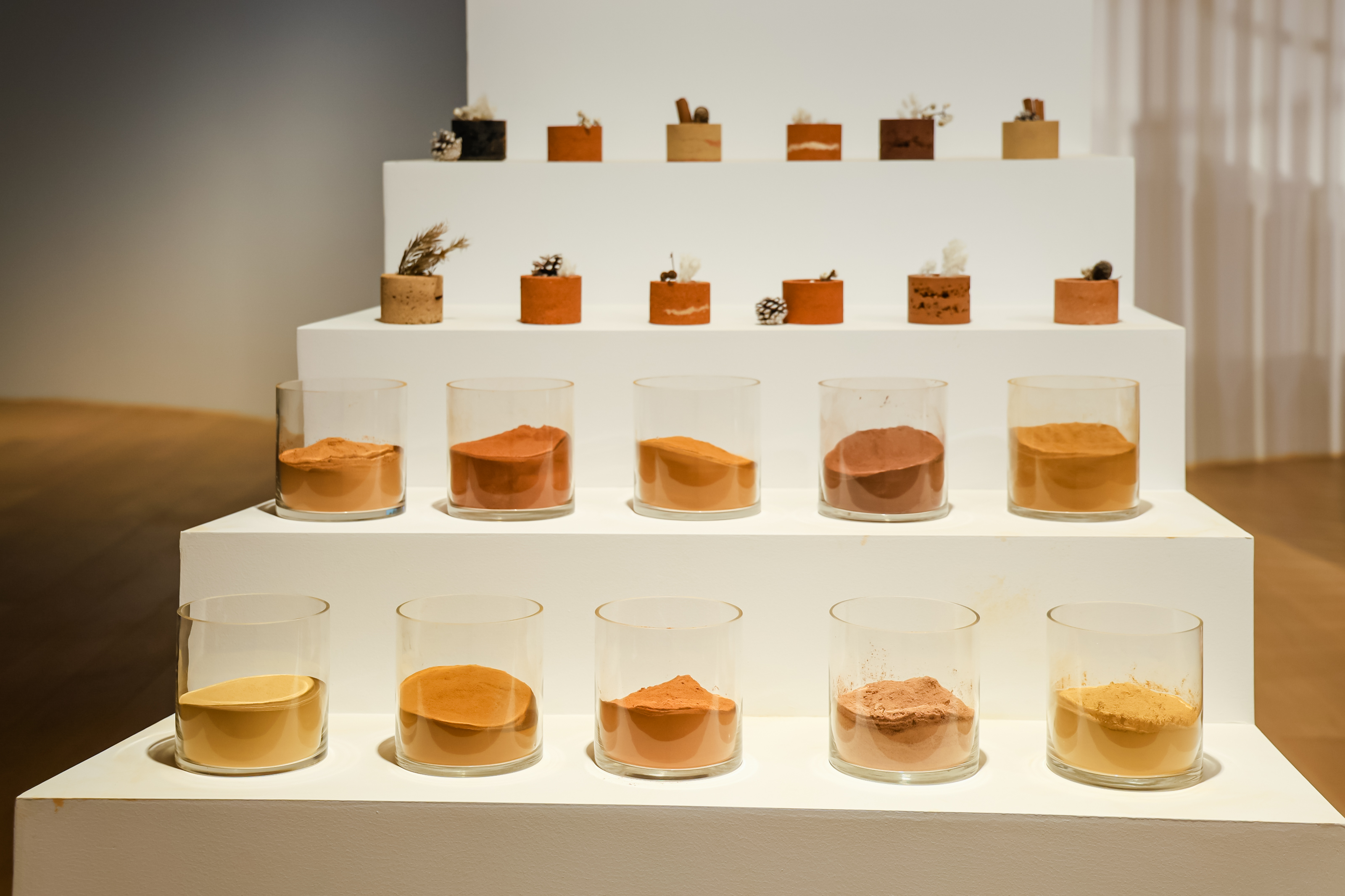 Soil exhibition at Shanghai Pearl Art Museum - SHINE News
