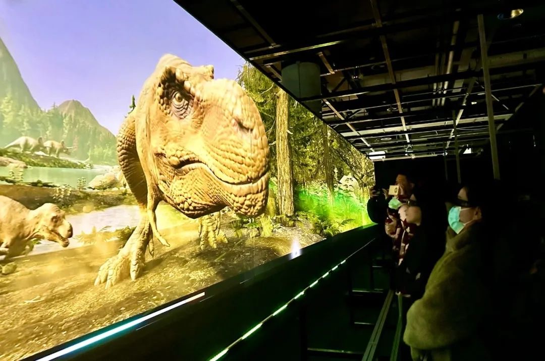 Shanghai Natural History Museum launches holographic zoo - City News ...