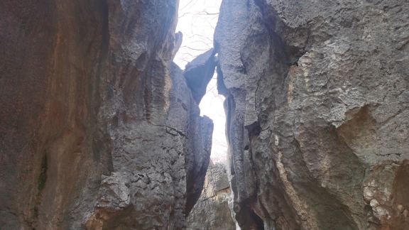 City News Services 城市资讯服务商