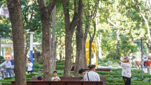 'Pocket park belt' offers lush retreat amidst city's hustle and bustle ...