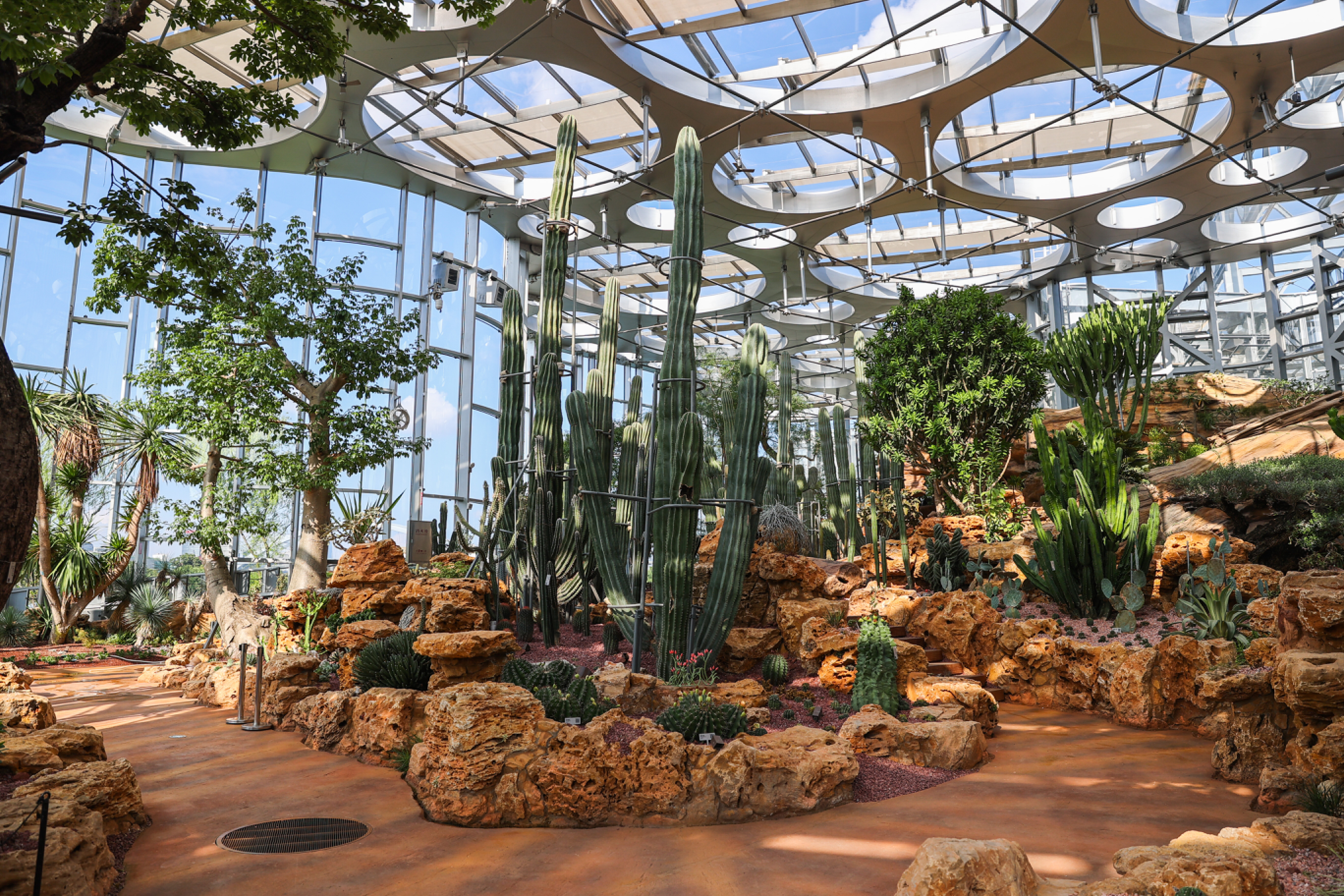 Shanghai Expo Culture Park unveils highly-anticipated new attractions ...