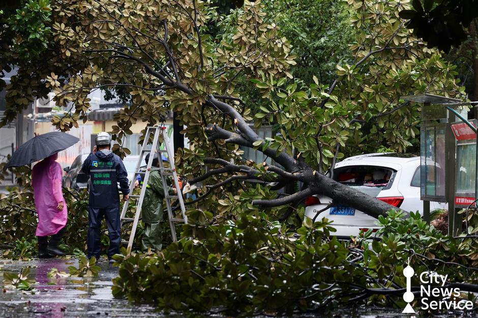 [Quick News] Widespread Damage, 400k Evacuations, New Typhoon - City ...
