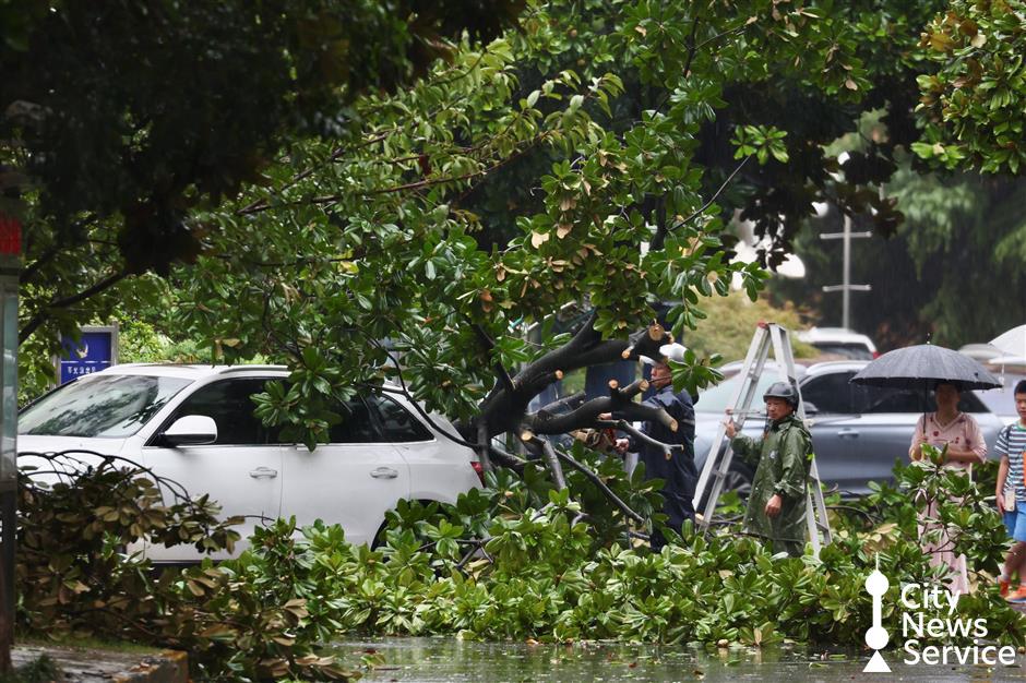 [Quick News] Widespread Damage, 400k Evacuations, New Typhoon - City ...