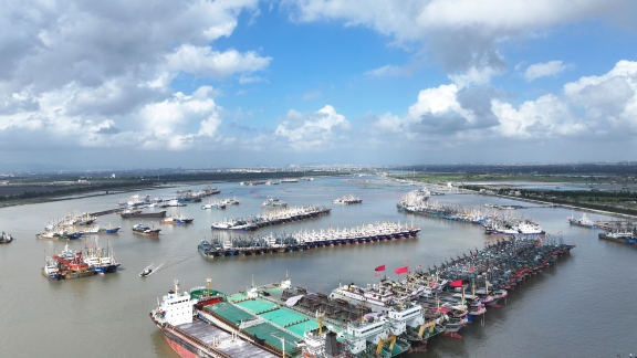 [Big News] Typhoon Upgraded to Blue ALERT: Here comes Pulasan - City ...