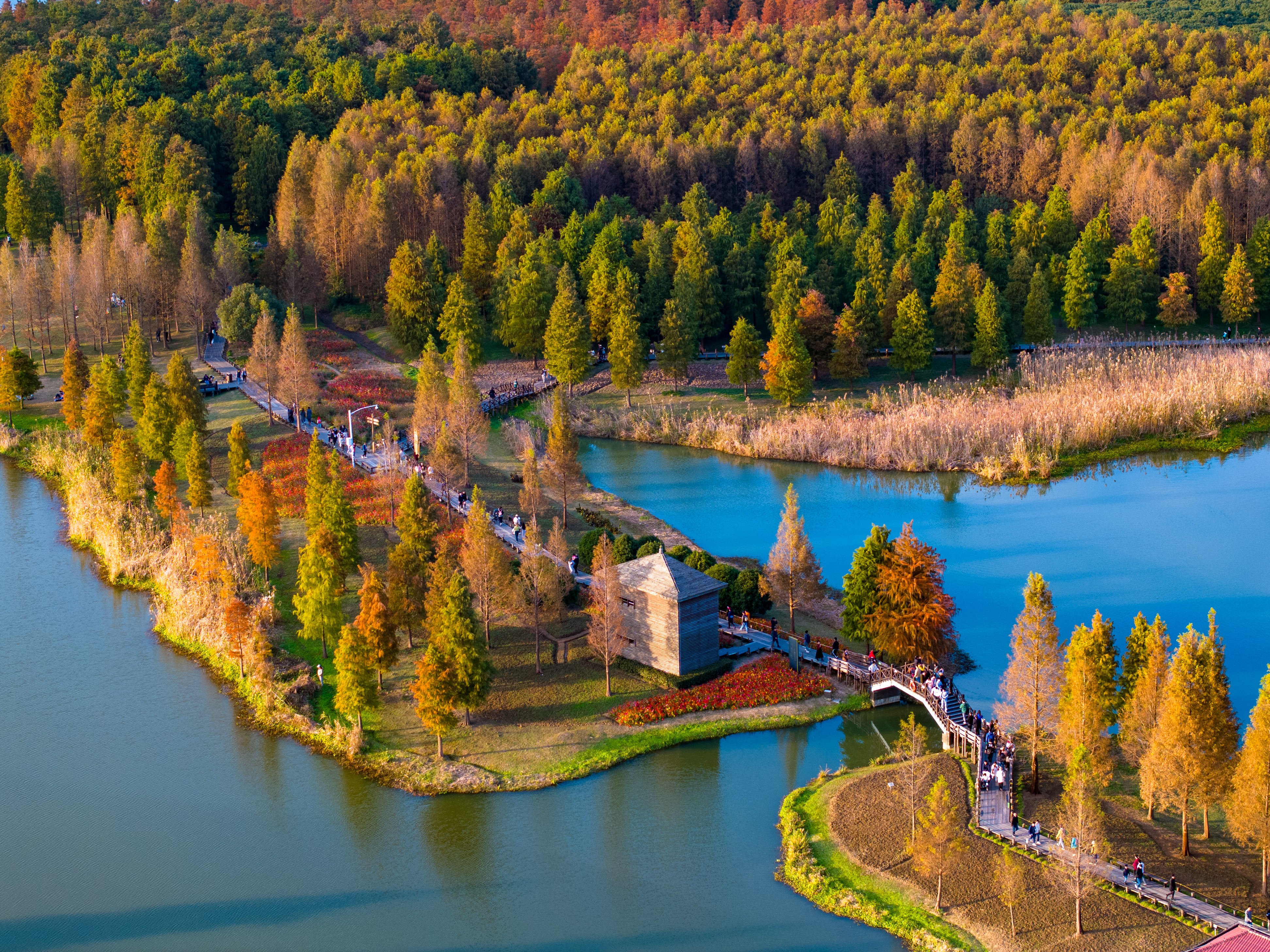 Discover some of the hidden gems in Shanghai - City News Service