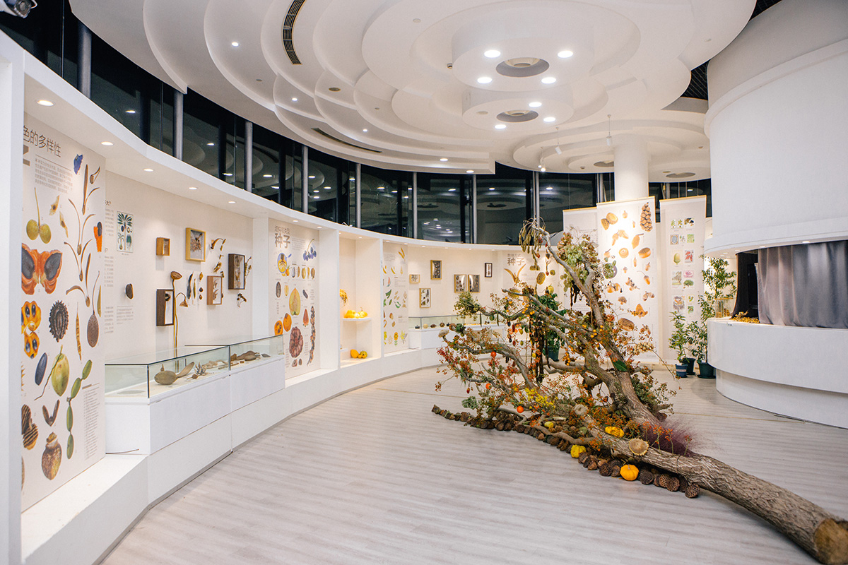 Exhibition to plant seed of thought in visitors - City News Service