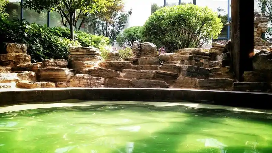 City News Services 城市资讯服务商