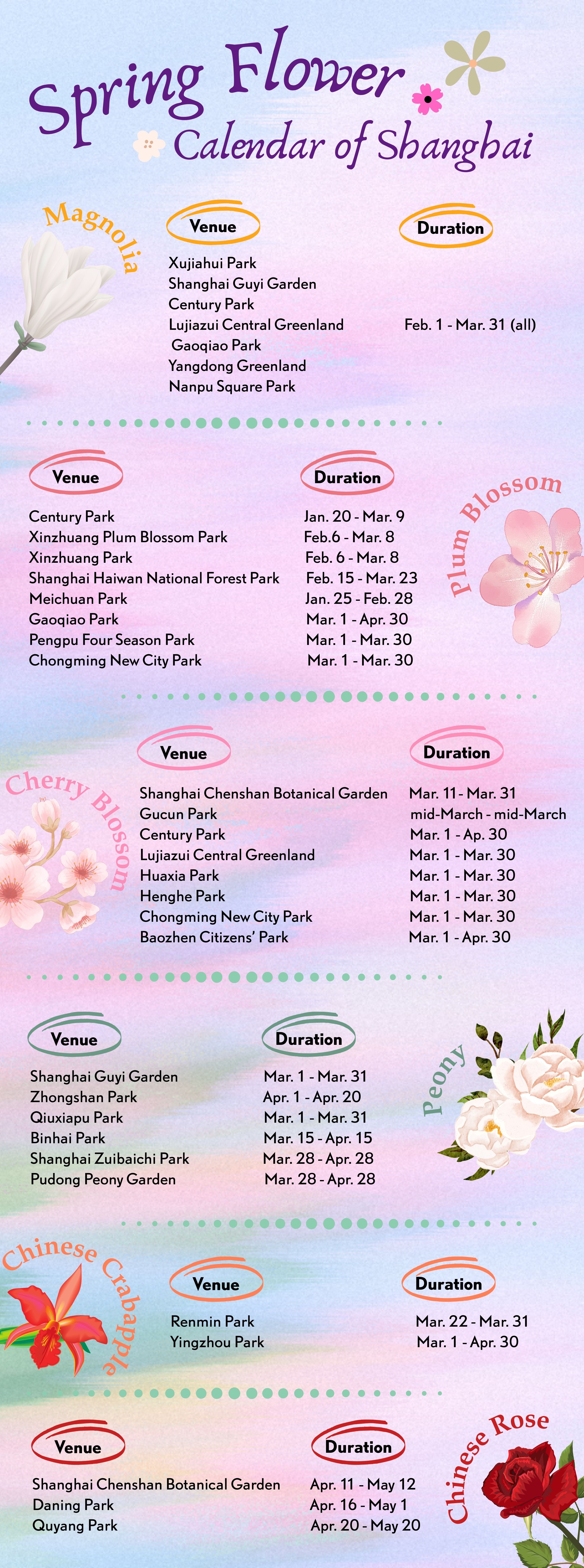 [Hai Lights] Top 10 Places to Enjoy Cherry Blossoms in Shanghai-The ...