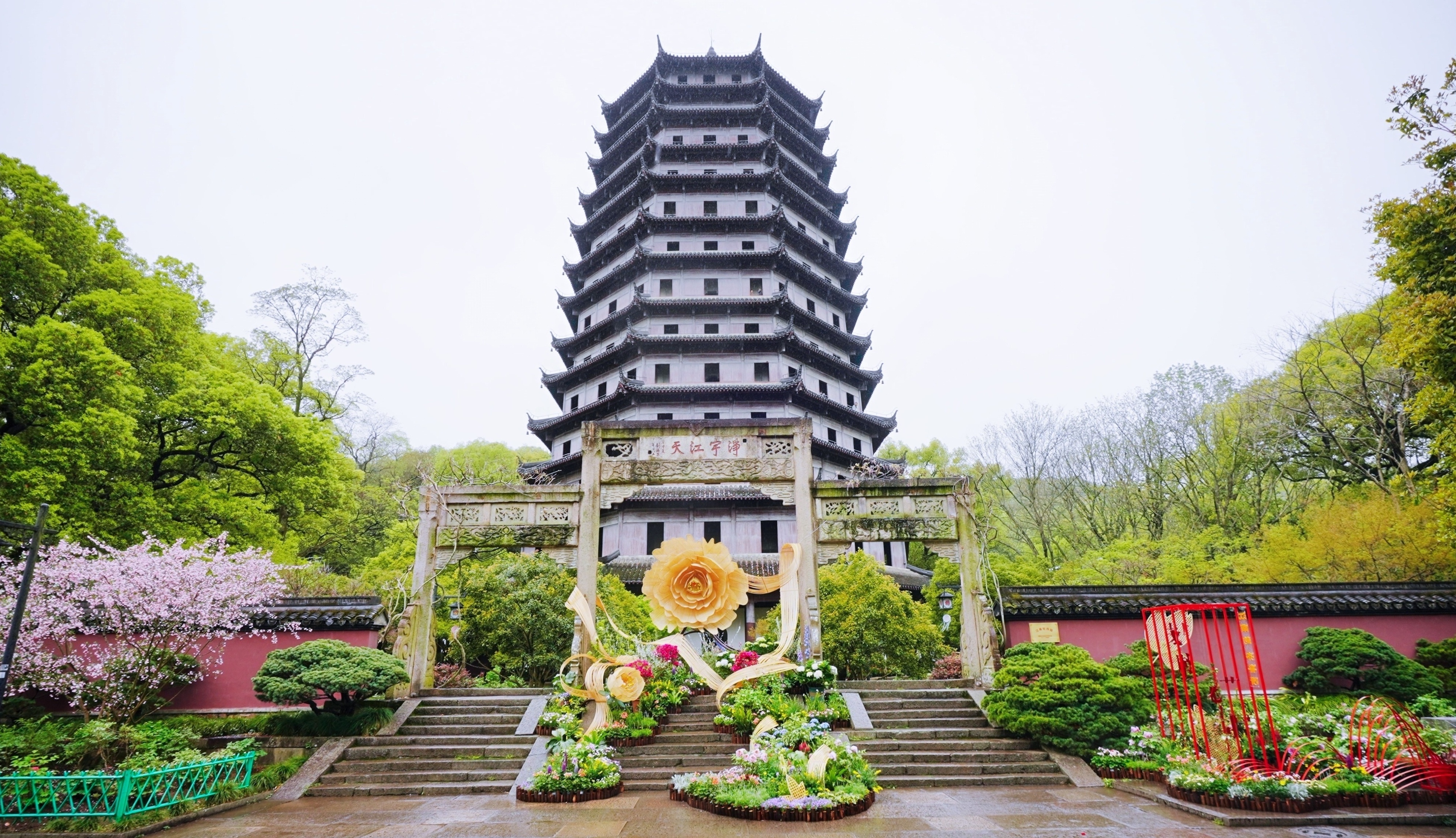 Exhibition celebrates Chinese peony, 'king of flowers' - City News Service
