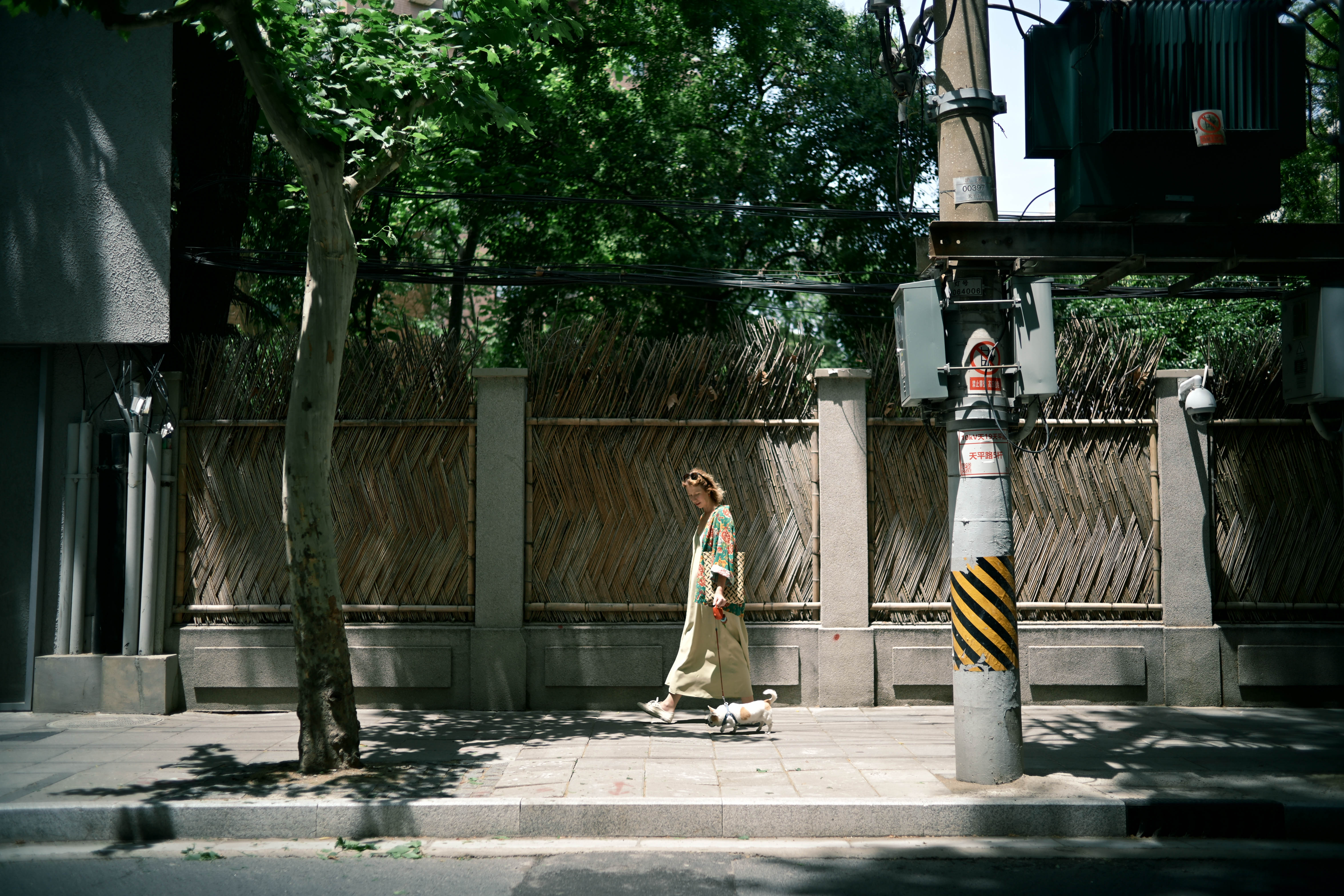Life between the plane trees: A designer's guide around Tianping Road ...