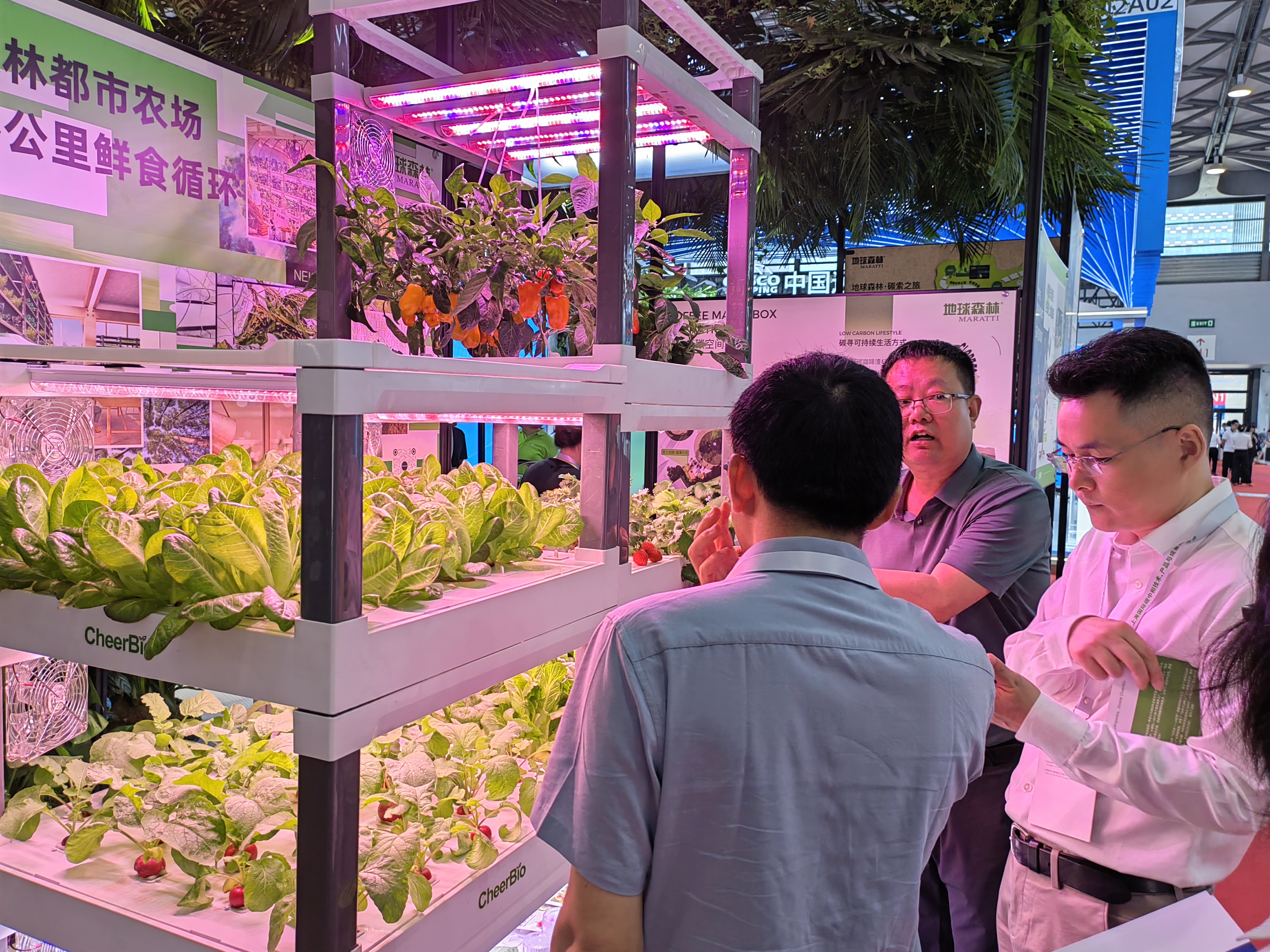 Solutions to green compliance for export companies