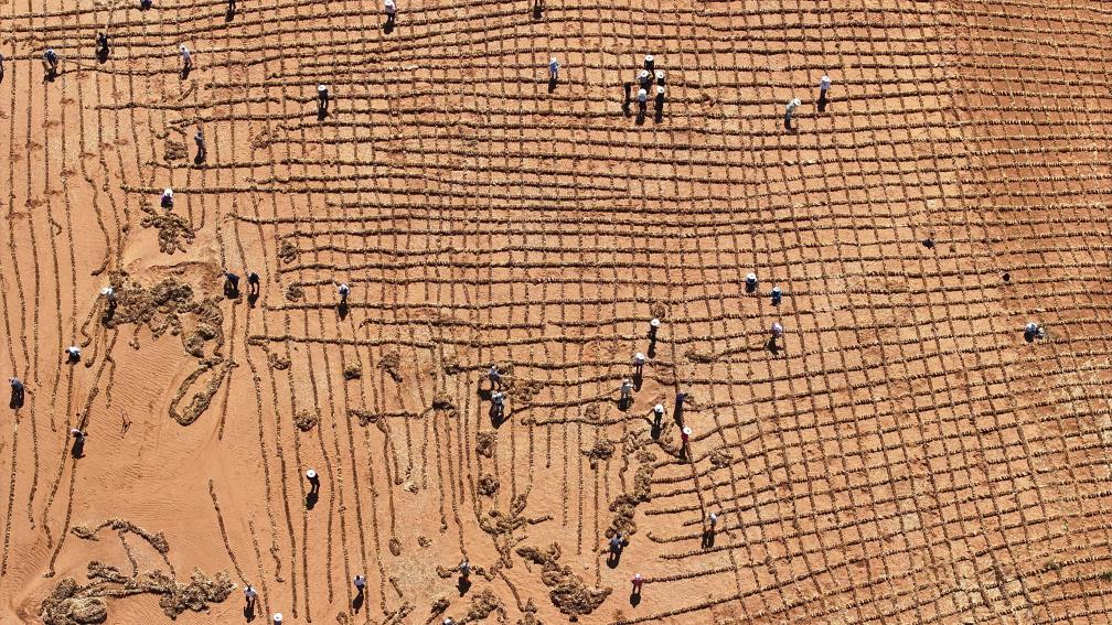 China's anti-desertification progress: A story of green growth and ...