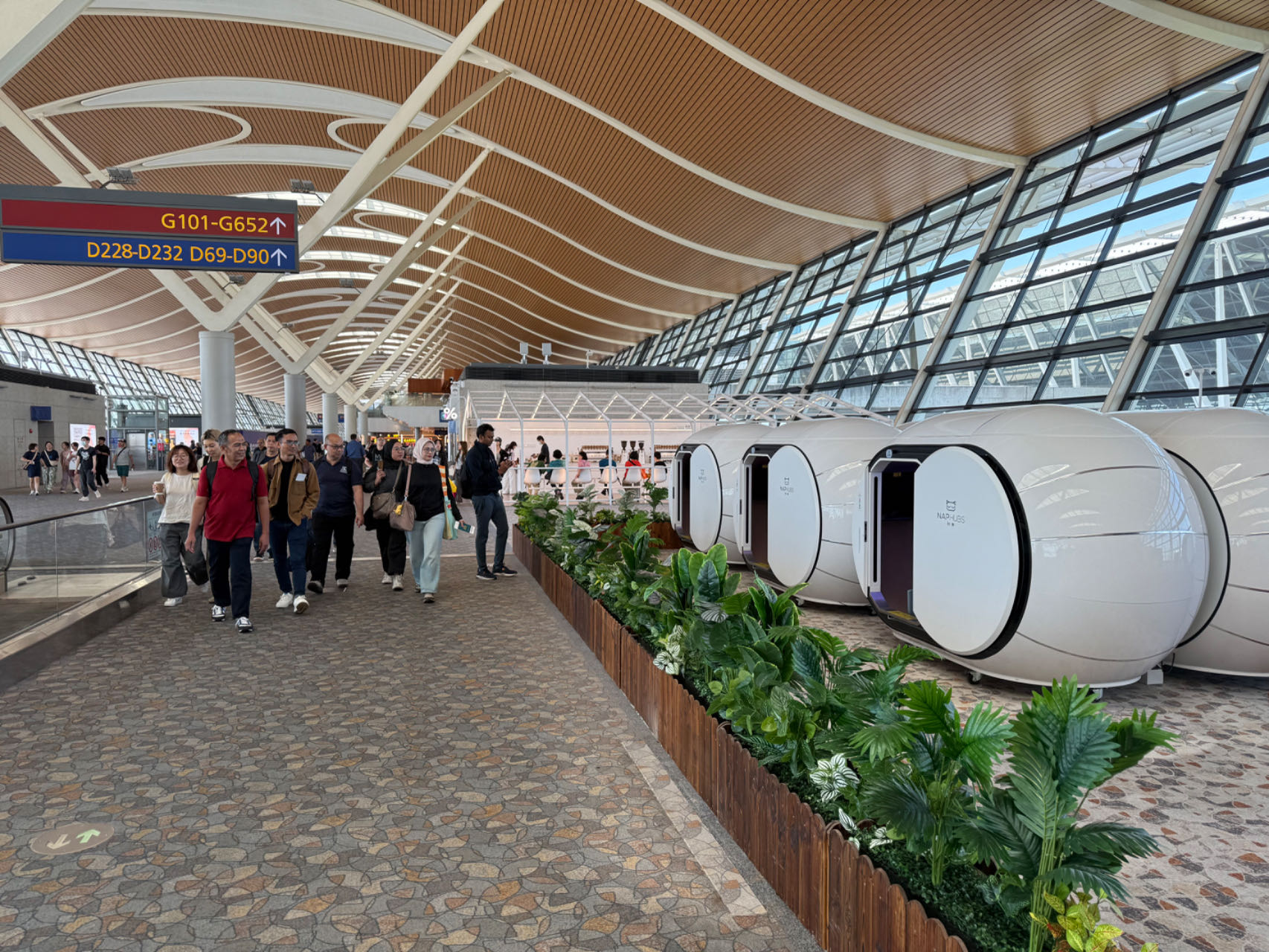Pudong airport opens sleeping pods for travelers at T2