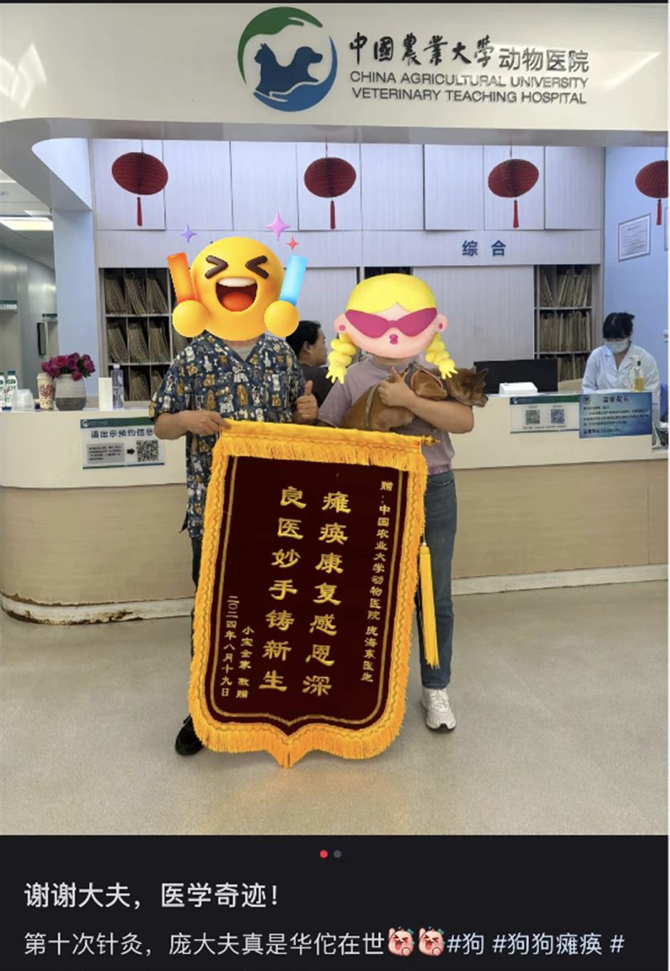 Rabbits get CT scans, dogs get acupuncture at China's most extra vet ...