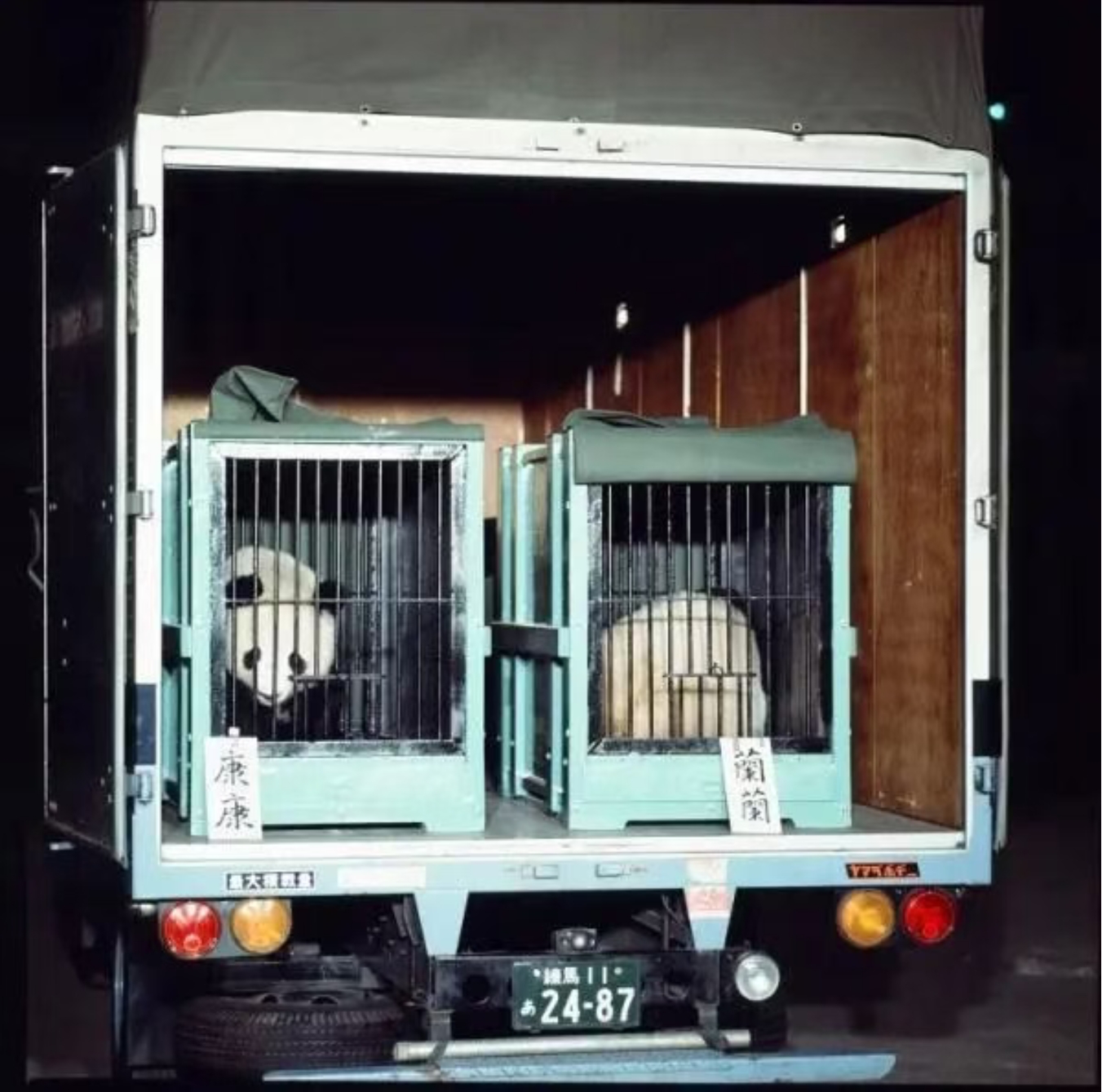Caption: Goodwill ambassadors Kangkang and Lanlan were sent to Japan in ...