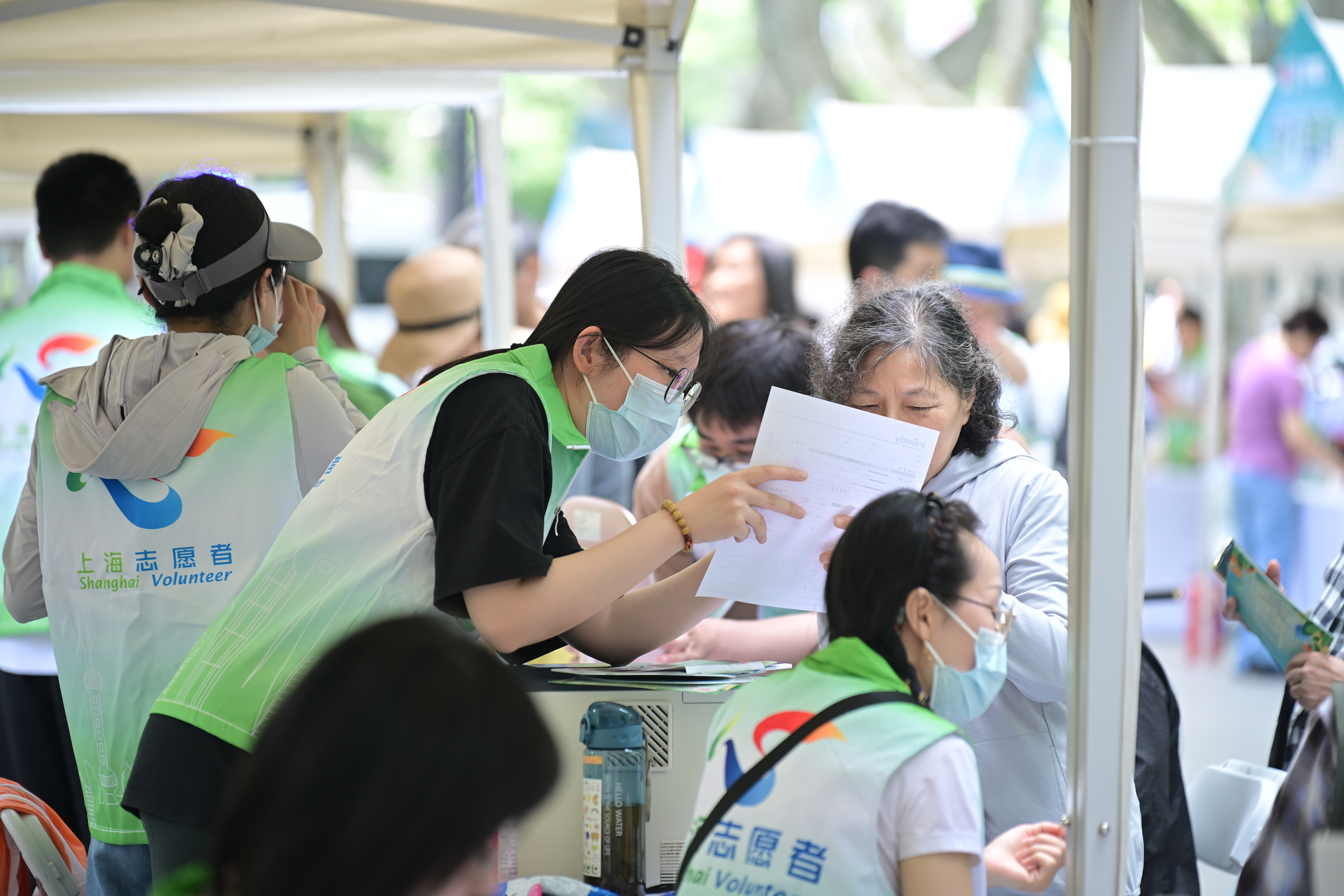 Shanghai Launches Anti-mosquito Campaign - City News Service